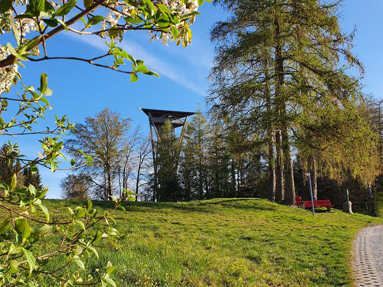 Wiler Turm: Wanderungen und Rundwege | komoot
