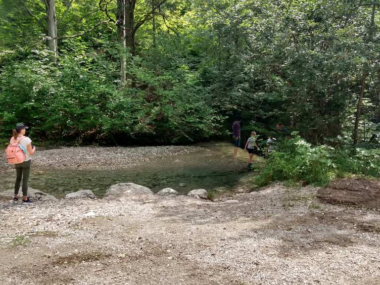Grüne Gumpe: Wanderungen und Rundwege | komoot