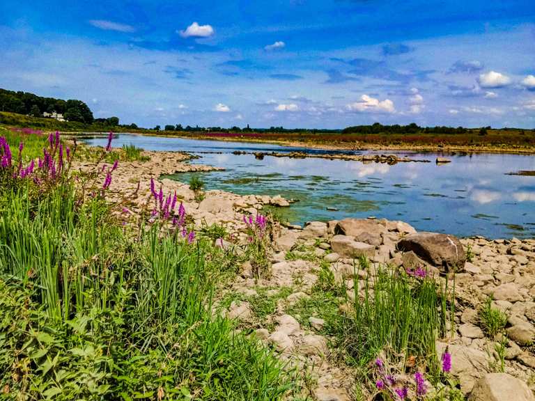 Winterdijk Lanaken / River Maas Road Cycle Routes and Map | Komoot