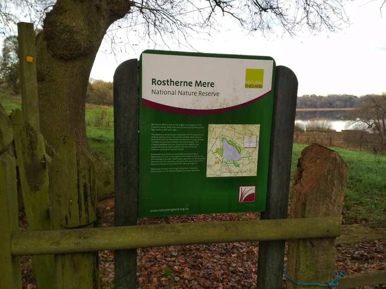 Rostherne Mere entrance: Rennradfahren und Rennradtouren | komoot