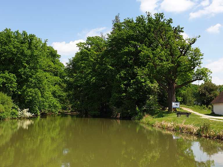 Fossa Carolina / Karlsgraben Routes for Walking and Hiking | Komoot