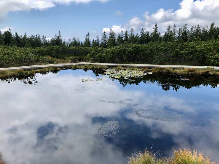 Lovrenc Lakes Routes for Walking and Hiking | Komoot