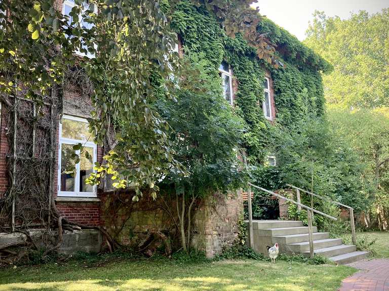 Friese schapenkaasmakerij - boerderijwinkel fietsroutes en kaart | Komoot