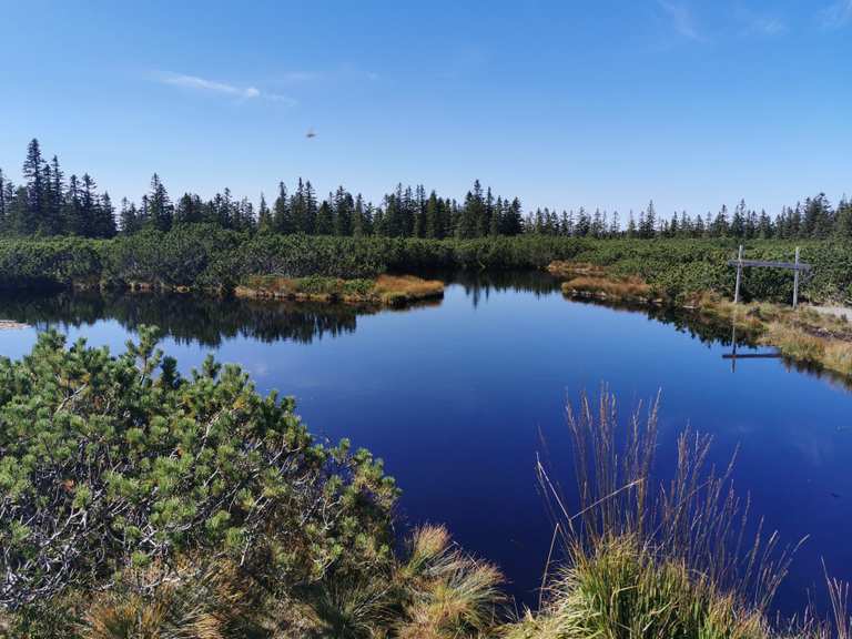 Lovrenška jezera na Pohorju. Routes for Walking and Hiking | Komoot