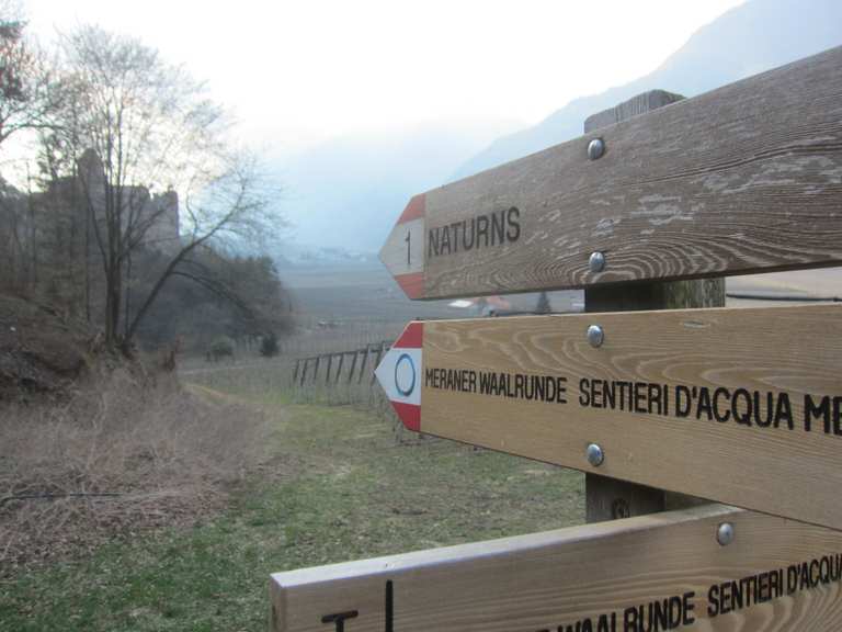 Schloss Dornsberg (Tarantsberg): Wanderungen und Rundwege | komoot