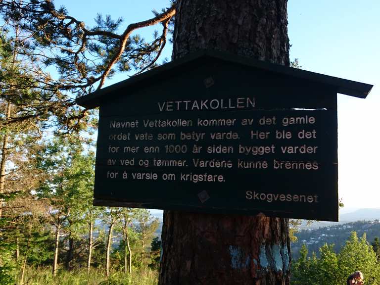 Vettakollen utsikt: Wanderungen und Rundwege | komoot