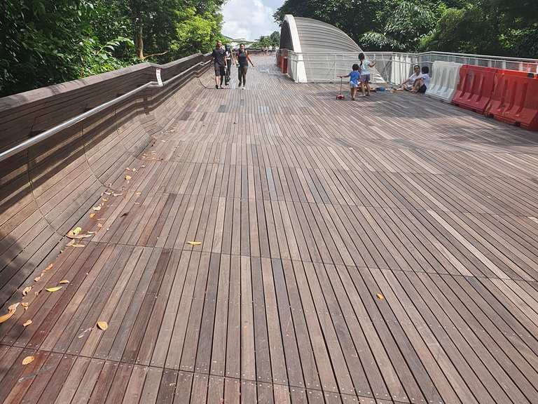 Henderson Waves Routes for Walking and Hiking | Komoot