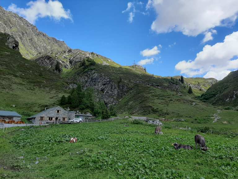 Verbella Alpe: Wanderungen und Rundwege | komoot
