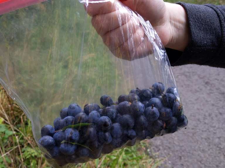 Chester Millennium Greenway - Cycle Routes and Map | Komoot