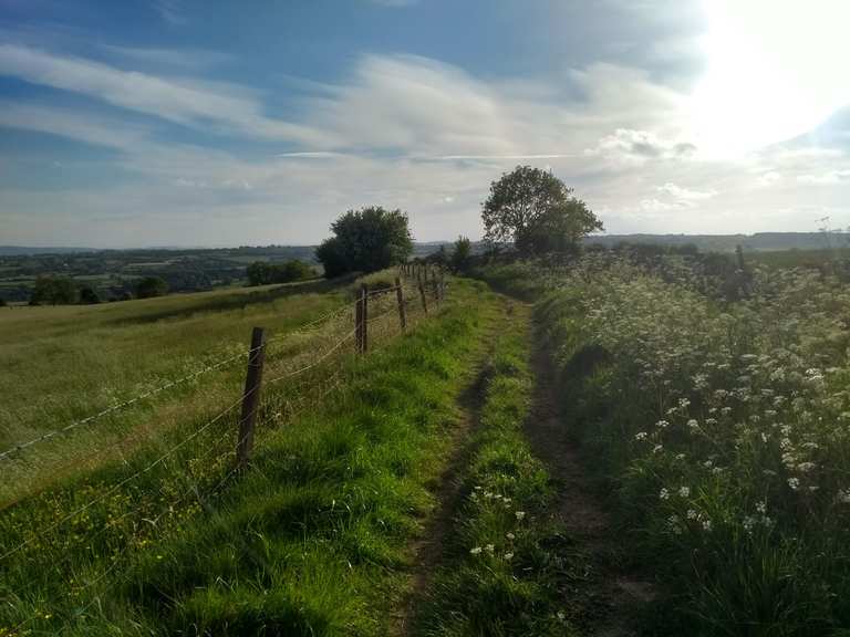 Dundry singletrack descent Mountain Bike Trails & Tracks | Komoot