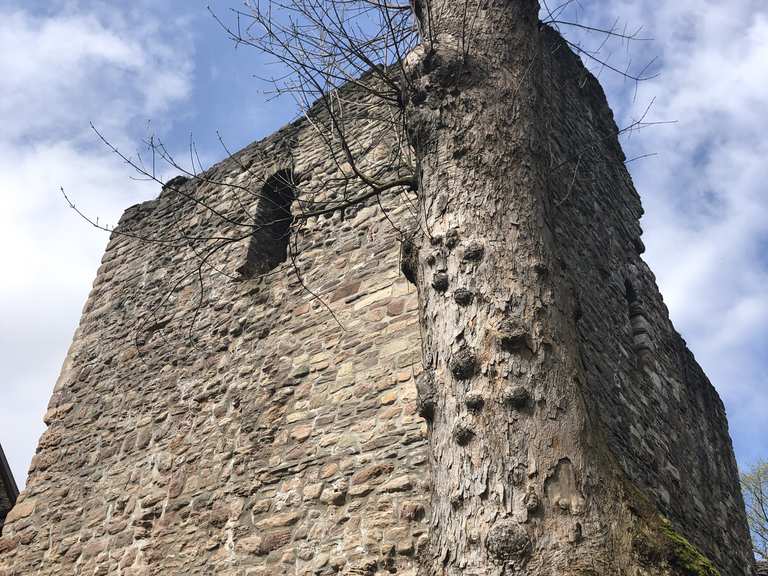 Burgruine Winterstein: Wanderungen und Rundwege | komoot