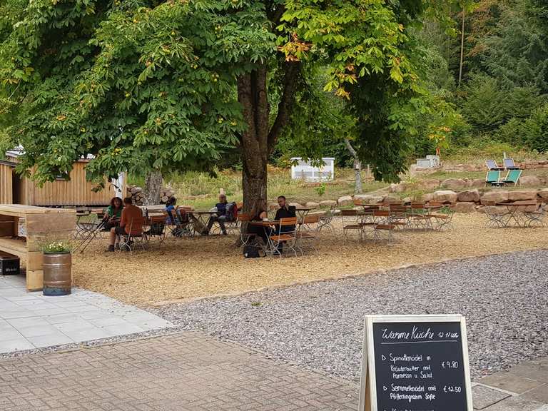 Forsthaus Annweiler/Schwarzer Fuchs: Wanderungen und Rundwege | komoot