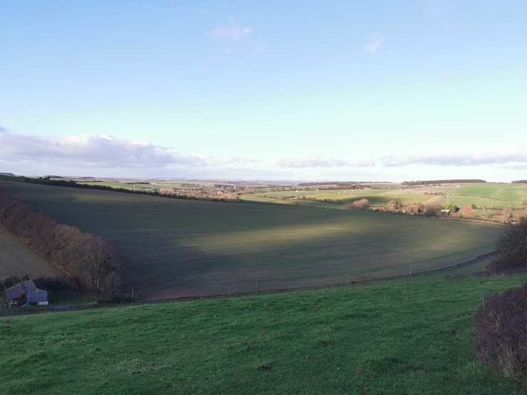 Heath Hill, Hadden Hill & Grovely Wood loop from Barford St Martin ...