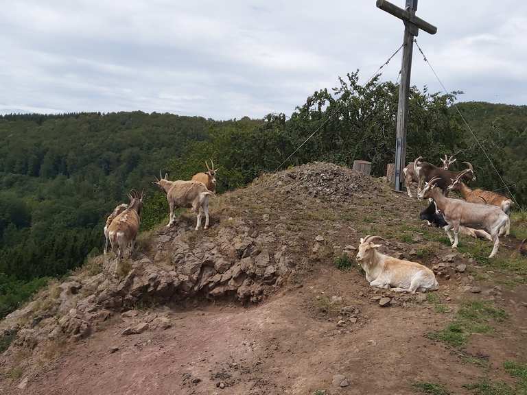 Rockenstein mit Kreuz: Wanderungen und Rundwege | komoot