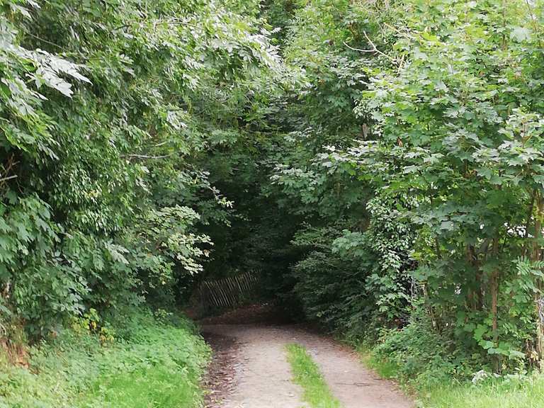 Calvados route in de Vlaamse Ardennen Routes for Walking and Hiking ...