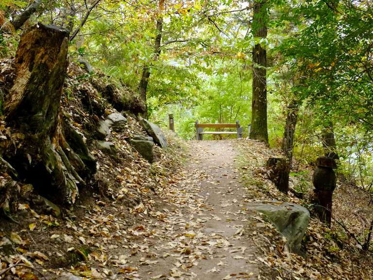 Trail Tra Brè e Val Rasa − giro ad anello da Locarno | 산악자전거 라이딩 | Komoot