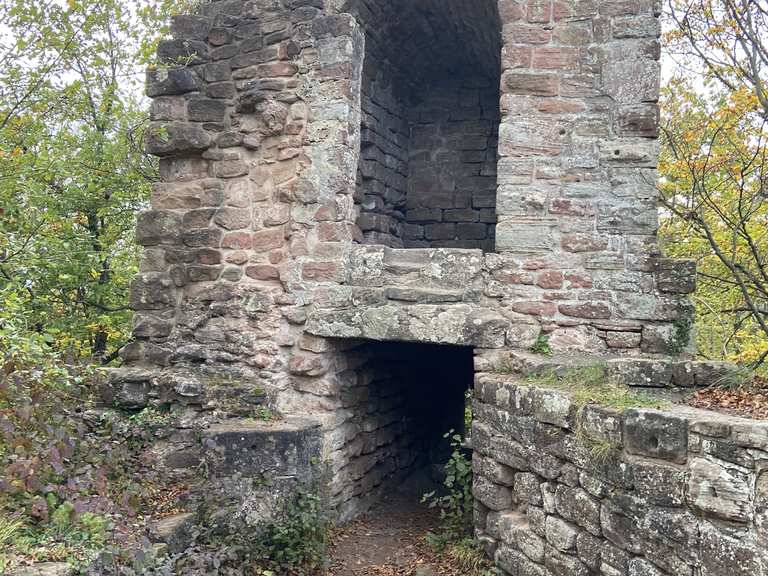 Le château du Haut-Barr et le rocher de Brotsch - boucle - course à ...