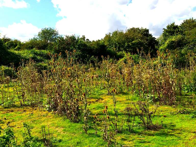 West Down Nature Trail Routes for Walking and Hiking | Komoot