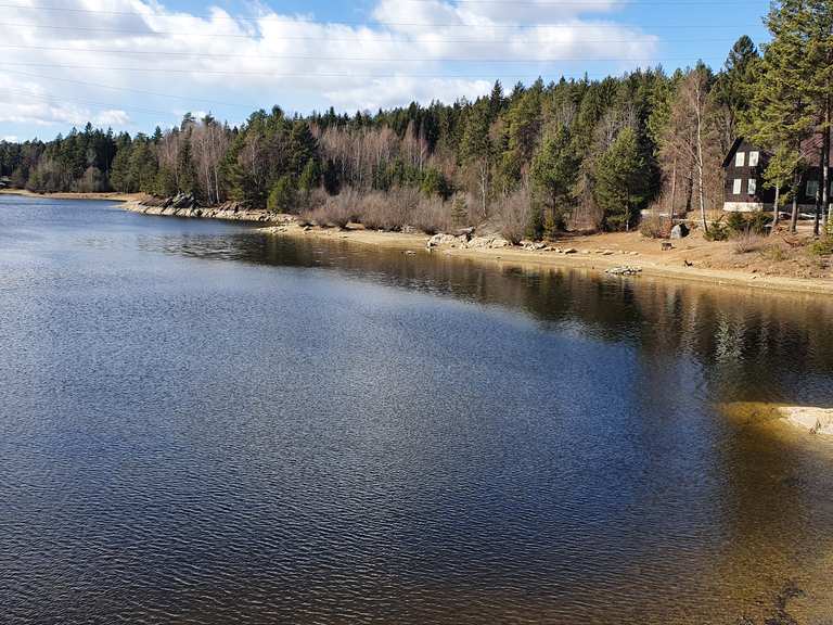 Forstsee wandelroutes en hikes | Komoot