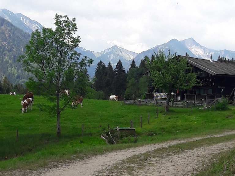 Grüne Gumpe: Wanderungen und Rundwege | komoot