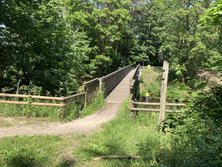 Wupatzsee – Löcknitz Loop from Erkner | hike | Komoot