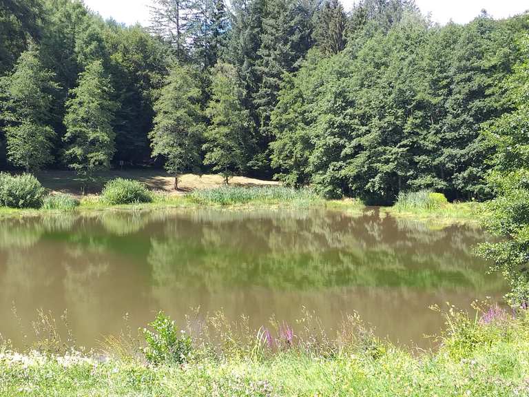 Michelsee bei Aglasterhausen-Michelbach - Cycle Routes and Map | Komoot