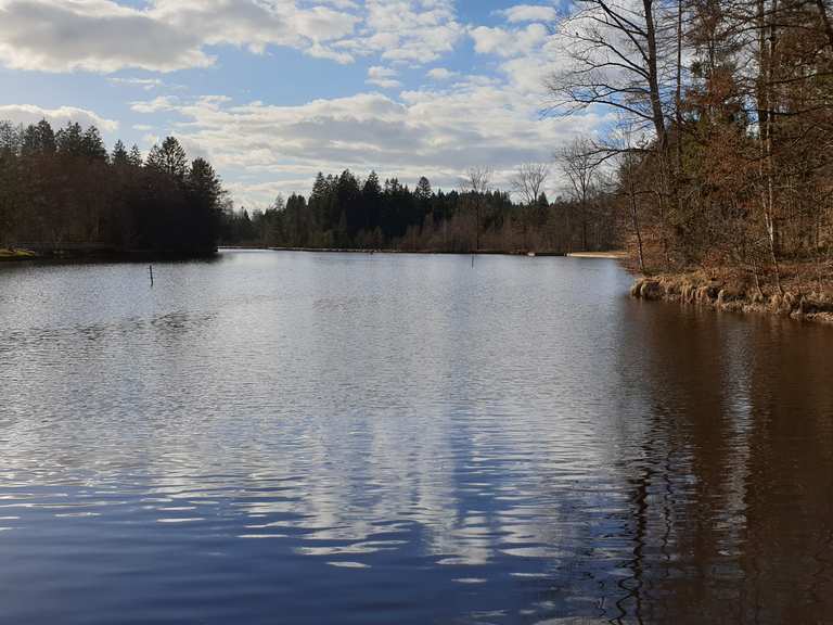 Waldsee bei Lindenberg: Wanderungen und Rundwege | komoot