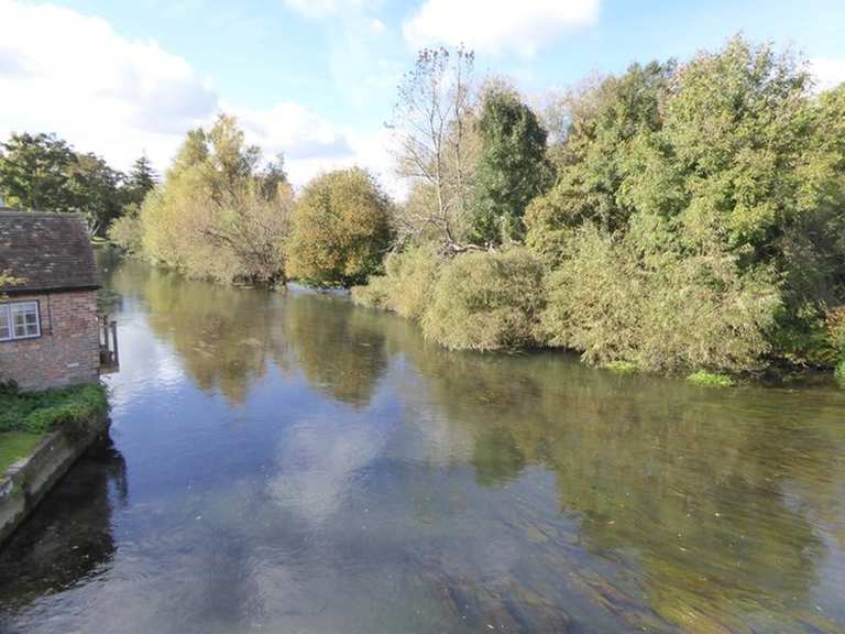 Harnham Bridge (Ayleswade Bridge) Routes for Walking and Hiking | Komoot