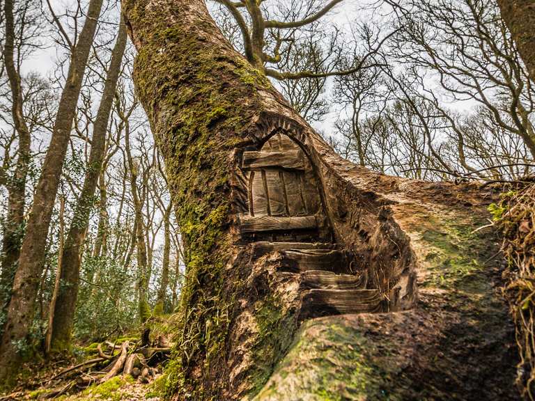 Doon Hill Routes for Walking and Hiking | Komoot