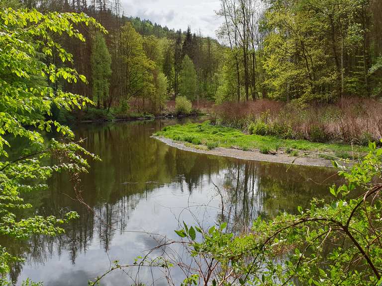 Zwickauer Mulde: Wanderungen und Rundwege | komoot