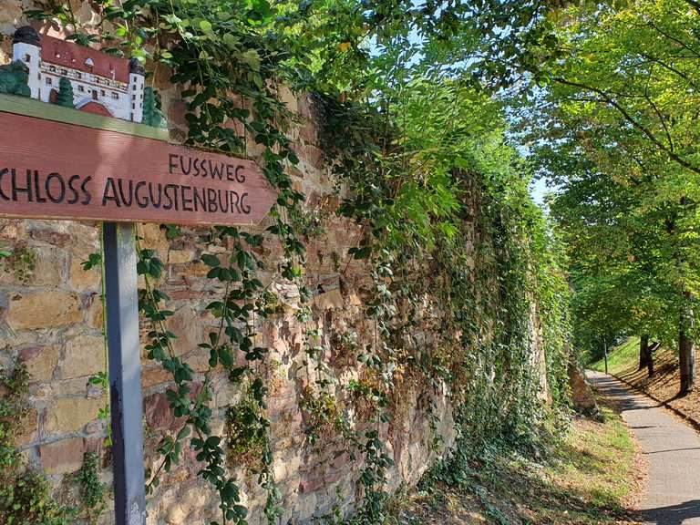 Schloss Augustenburg: Wanderungen und Rundwege | komoot