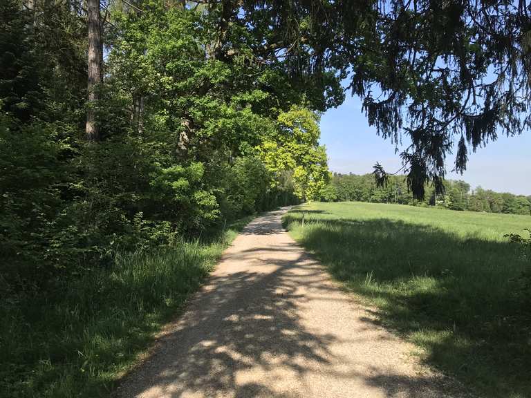 Schöner Ausblick – Städtli Laufen Runde von Hofstetten-Flüh ...