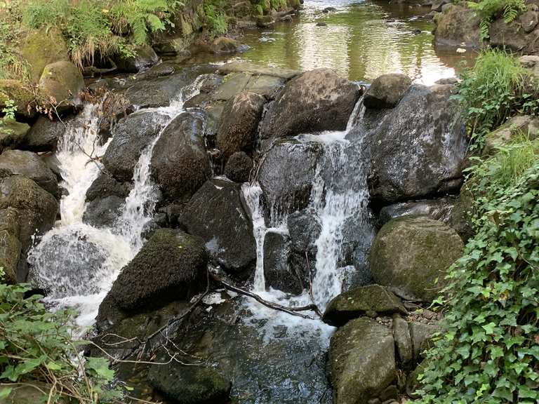 Loop delle cascate di Loup of Fintry e Campsie Glen da Croy | giro in ...