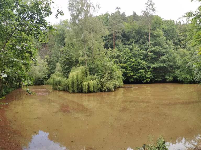Eichensee: Wanderungen und Rundwege | komoot