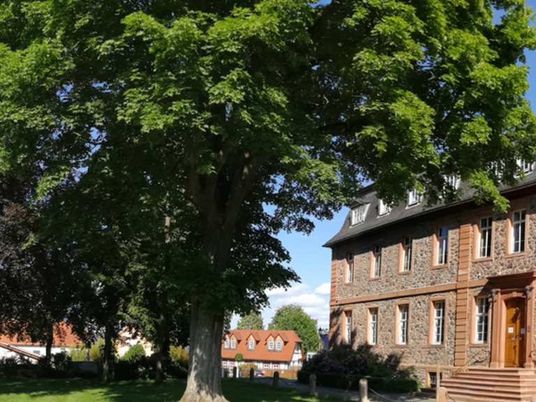 Schlosspark Langenselbold : Radtouren und Radwege | komoot
