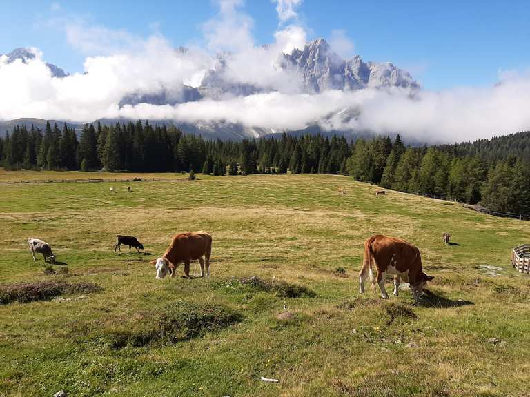 Alpe Nemes Hütte: Wanderungen und Rundwege | komoot