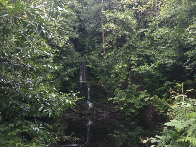 Tillingbourne Waterfall (periodically): Wanderungen und Rundwege | komoot