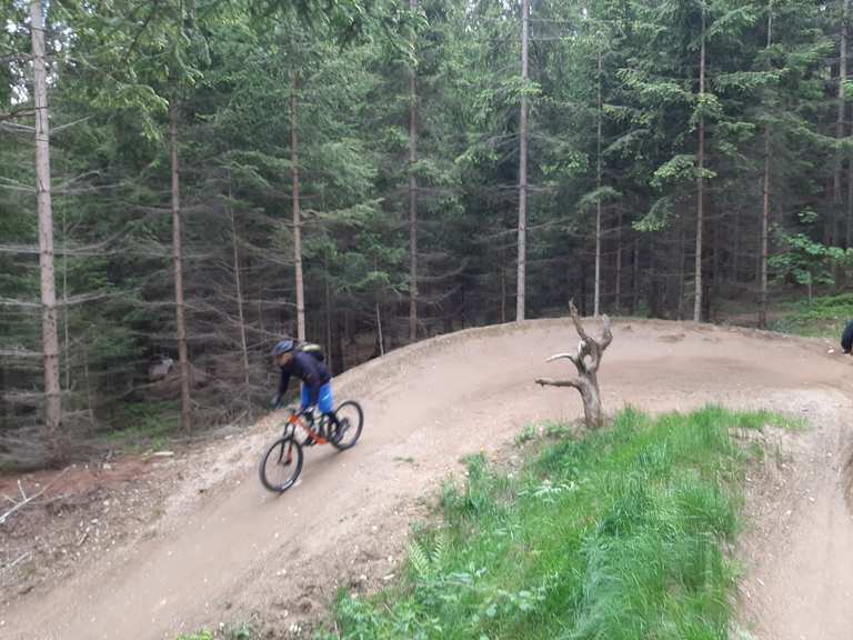 Flowtrail - Mountain Bike Trails & Tracks | Komoot