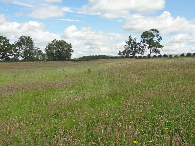 Marden Henge - Cycle Routes and Map | Komoot
