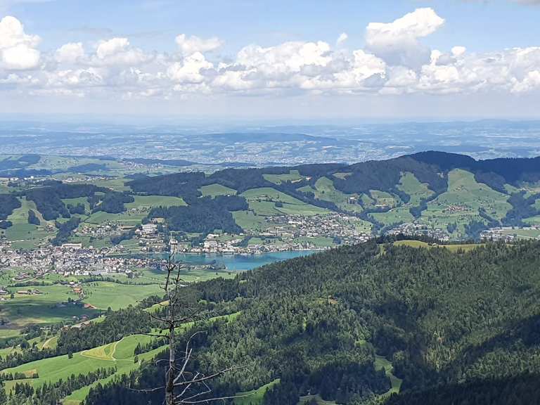 Wildspitz Routes for Walking and Hiking | Komoot