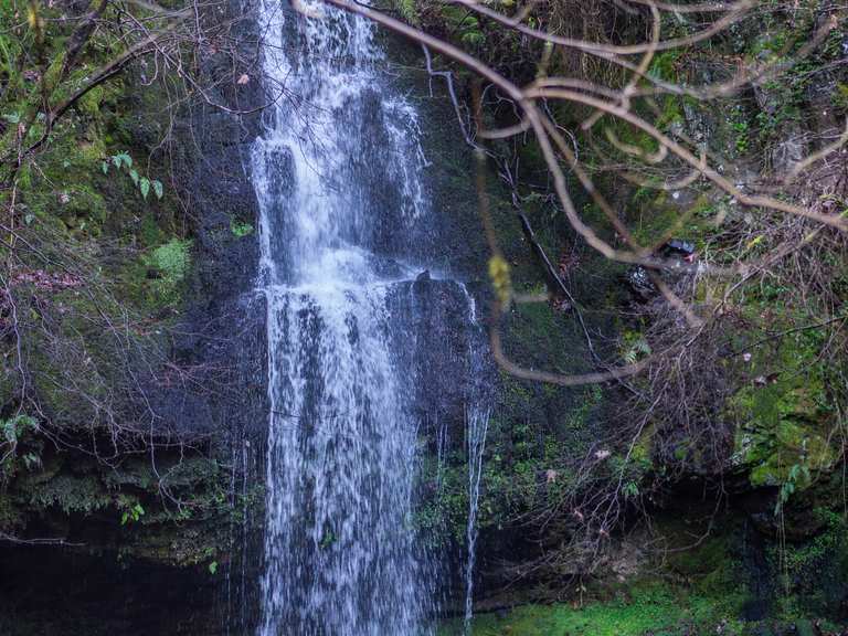 Craigie Linn Waterfall Routes for Walking and Hiking | Komoot