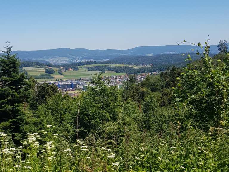 Atemweg Safenwil - Routes for Walking and Hiking | Komoot