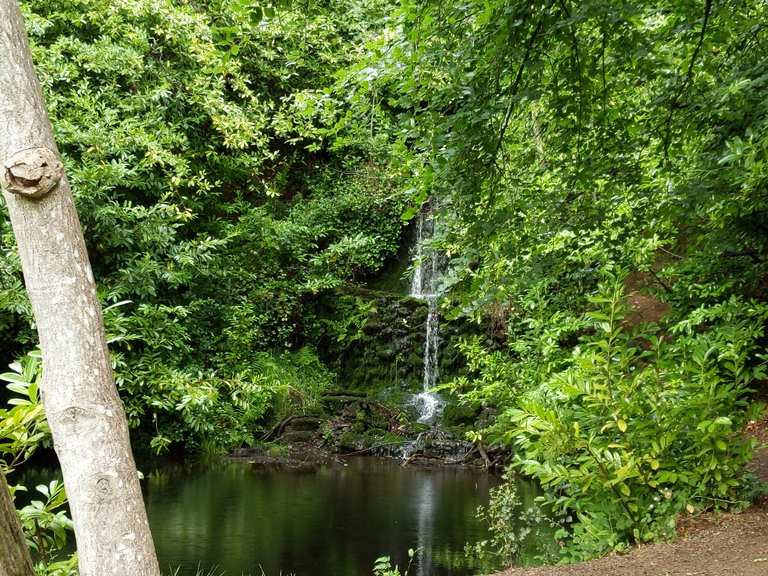 Tillingbourne Waterfall (periodically): Wanderungen und Rundwege | komoot