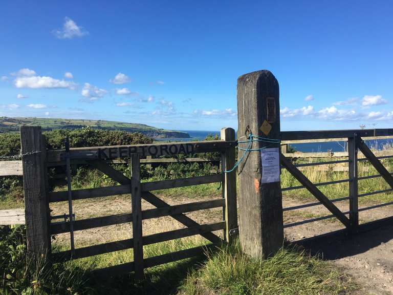 Cinder Track: Mountainbike-Touren und -Trails | komoot