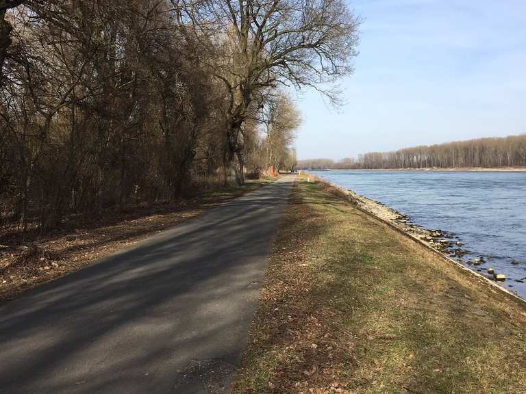 Rheinradweg: Radtouren und Radwege | komoot