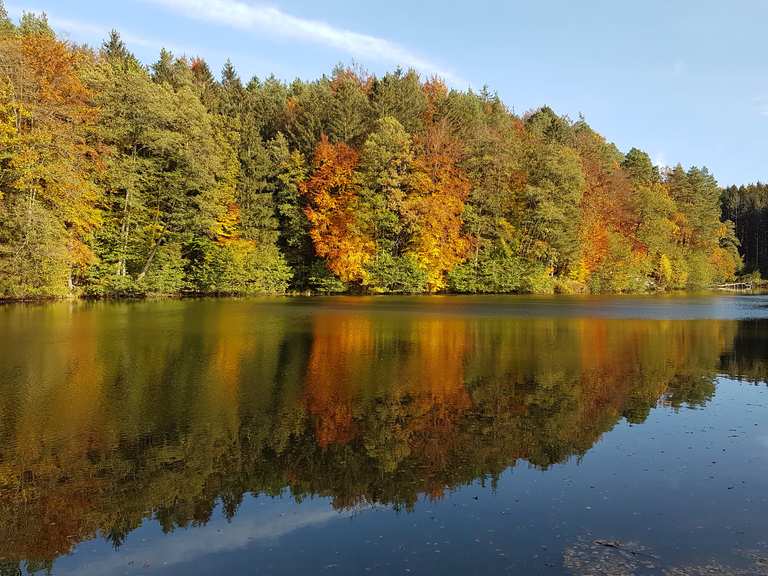 Finsterroter See: Wanderungen und Rundwege | komoot