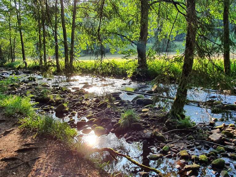 Eyach Wasserwegle: Wanderungen und Rundwege | komoot