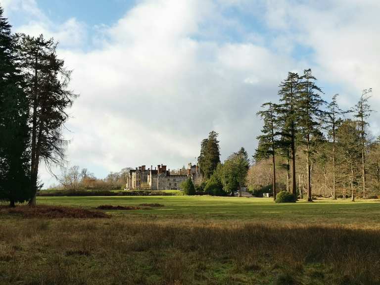 Brockenhurst & Tall Trees Trail loop - Parco Nazionale New Forest Tour ...