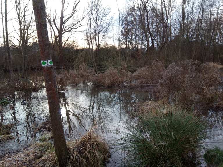 Beaver Habitat – Hiking & Cycling Routes | Komoot
