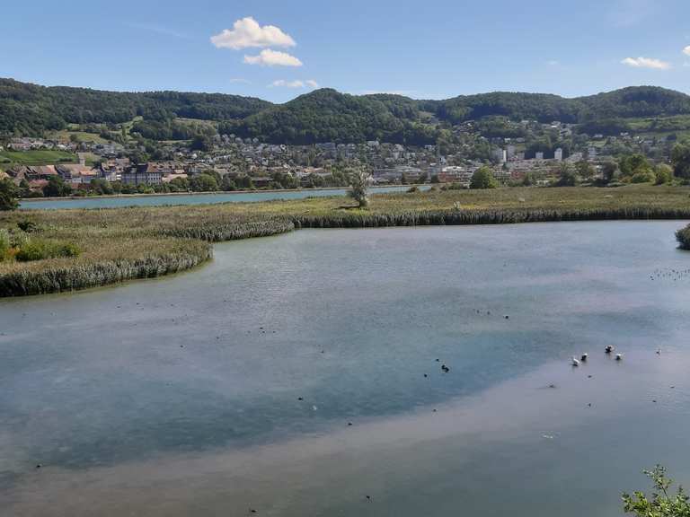 Klingnauer Stausee : Radtouren und Radwege | komoot